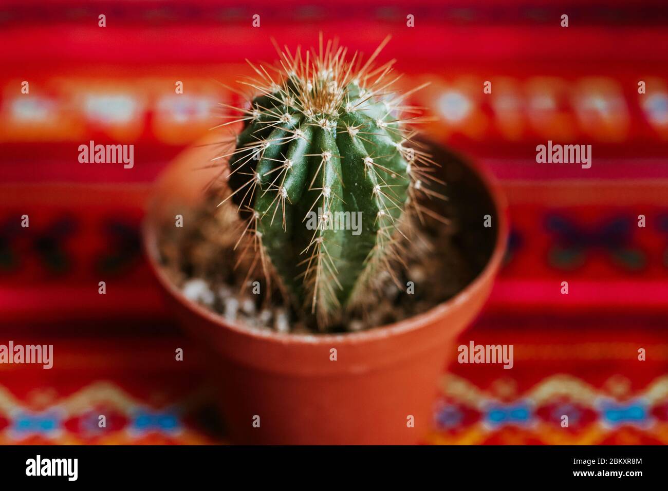 Mexican culture hi-res stock photography and images - Alamy