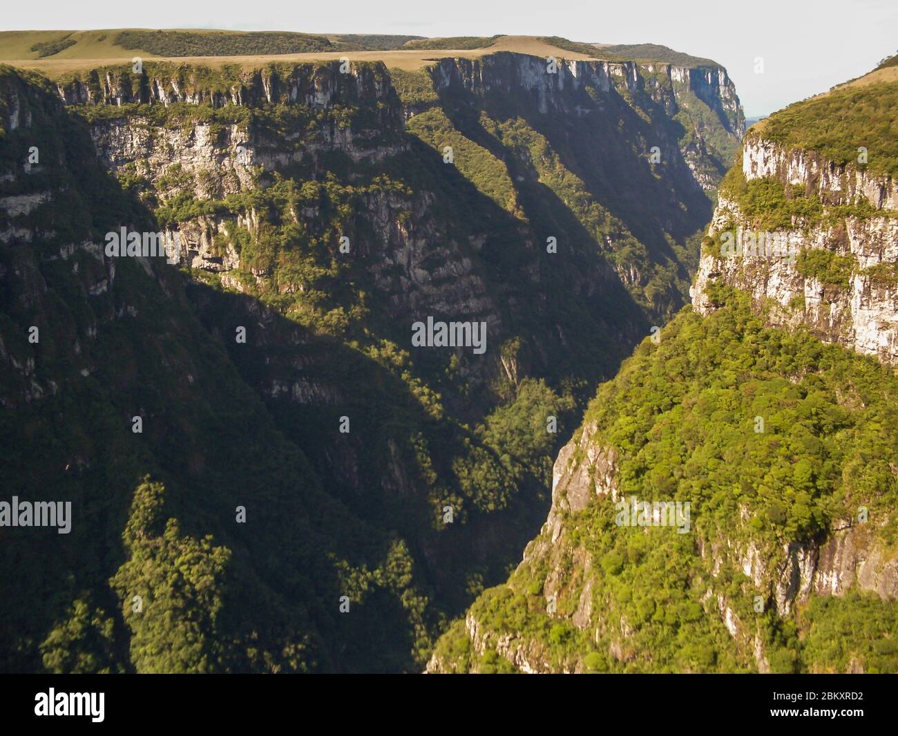 Beautiful landscape of Fortaleza Canyon and green rainforest, Cambara ...