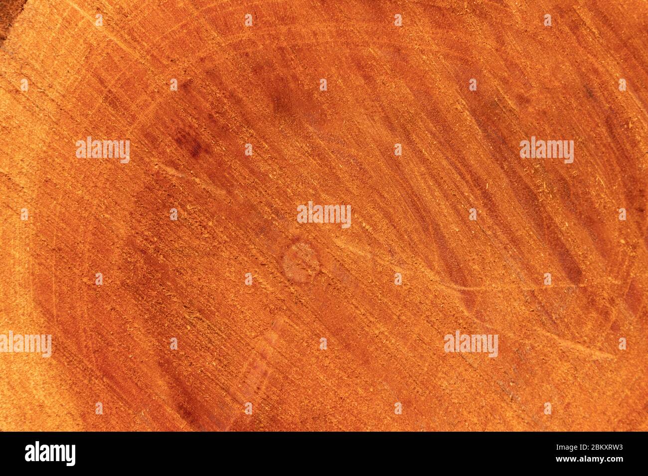 Tree texture cut wood pattern inside tree trunk Stock Photo - Alamy