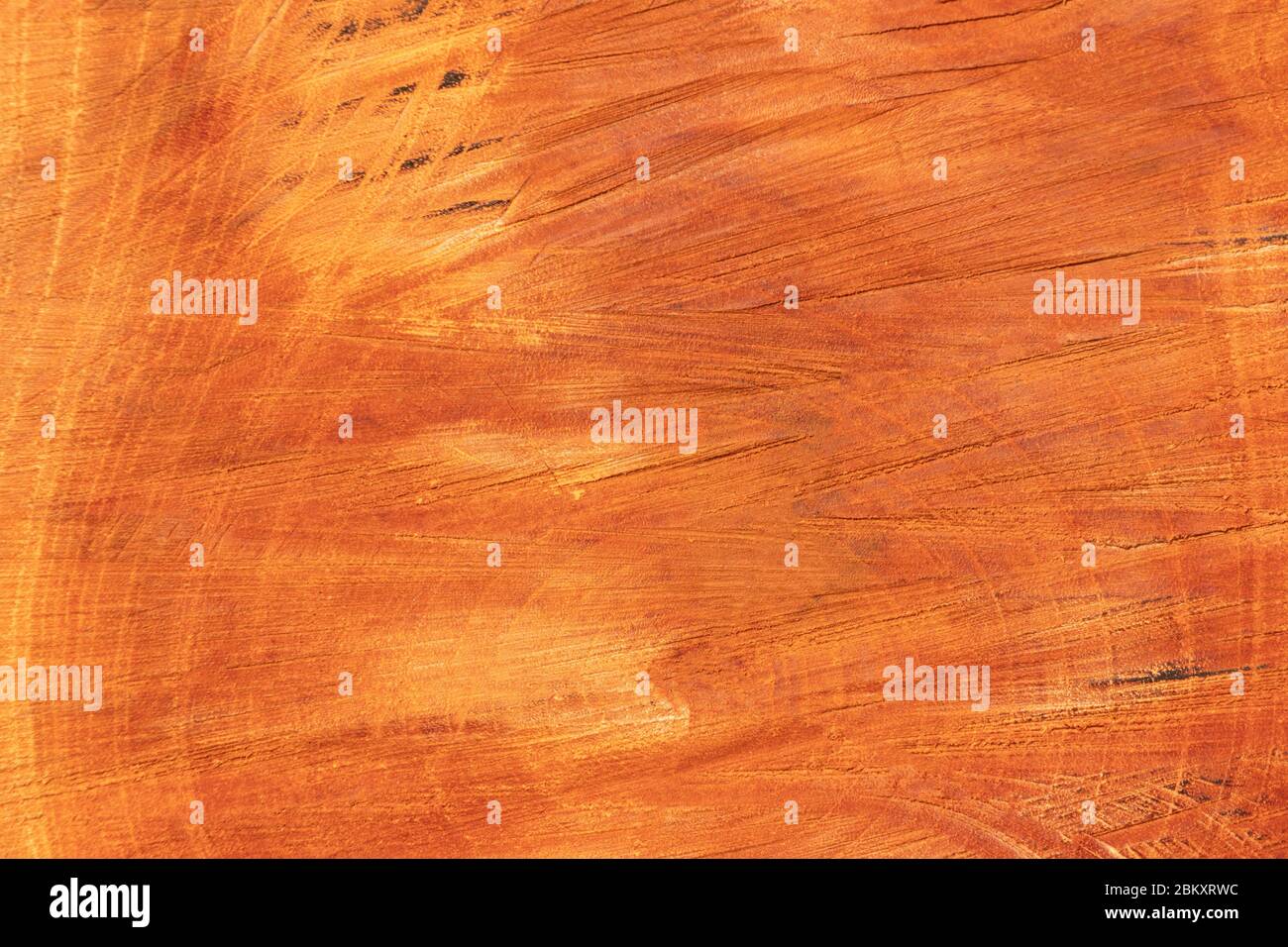 Tree texture cut wood pattern inside tree trunk Stock Photo - Alamy