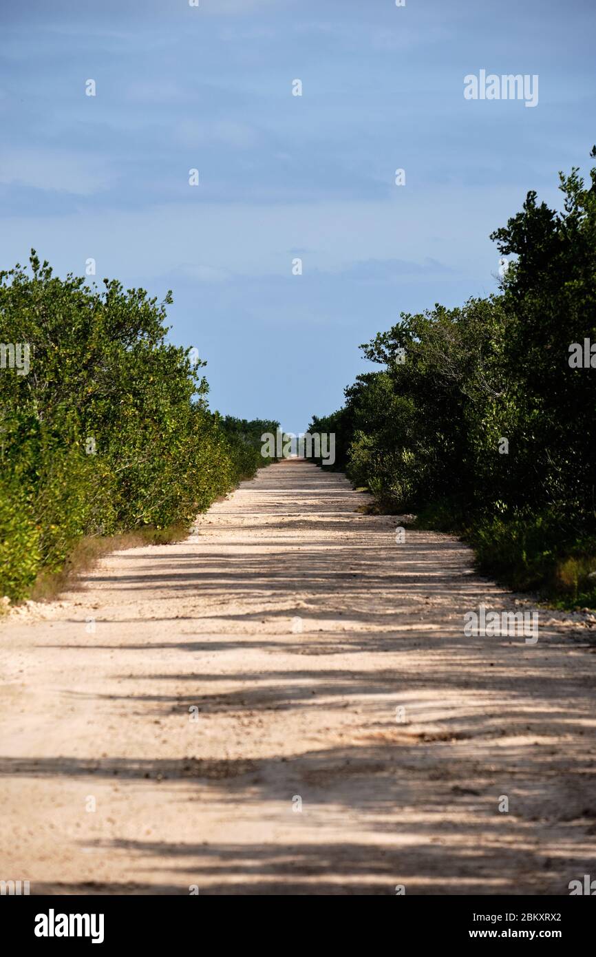 Dirt driveway hi-res stock photography and images - Alamy