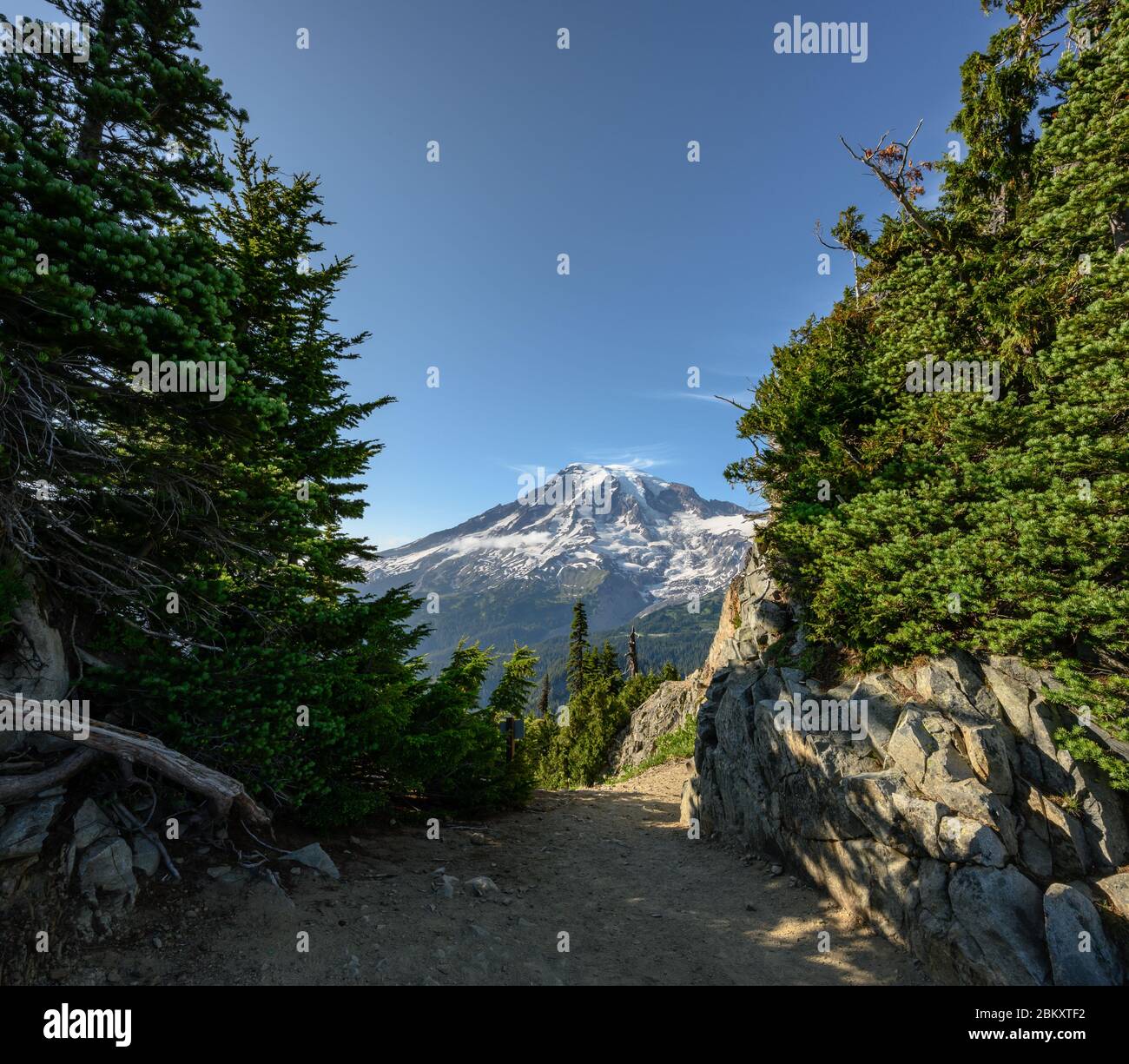 Mt rainier peak hi-res stock photography and images - Alamy
