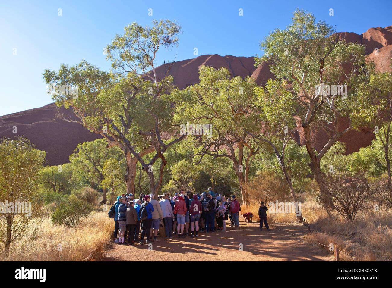 Mala Walk around the foot of Uluru, Northern Territory, Australia Stock ...