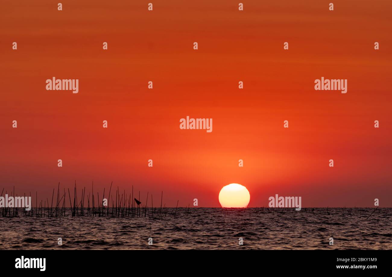 Big sun over the sea at sunset. Beautiful sunset sky and skyline. Red ...