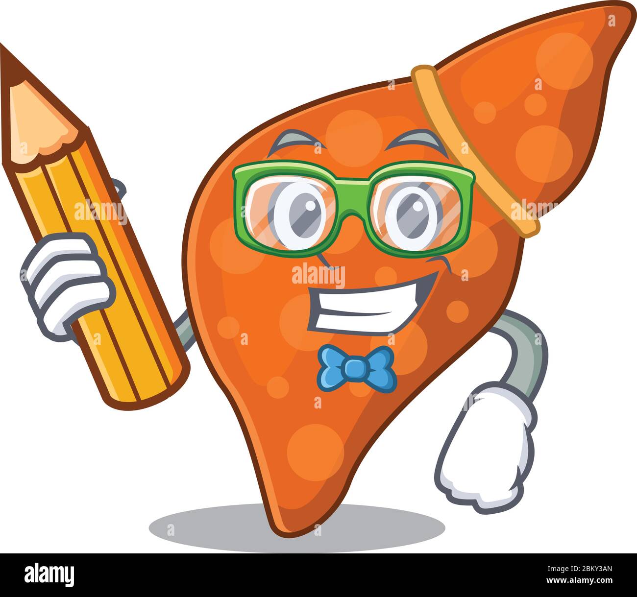 A brainy student human hepatic liver cartoon character with pencil and ...