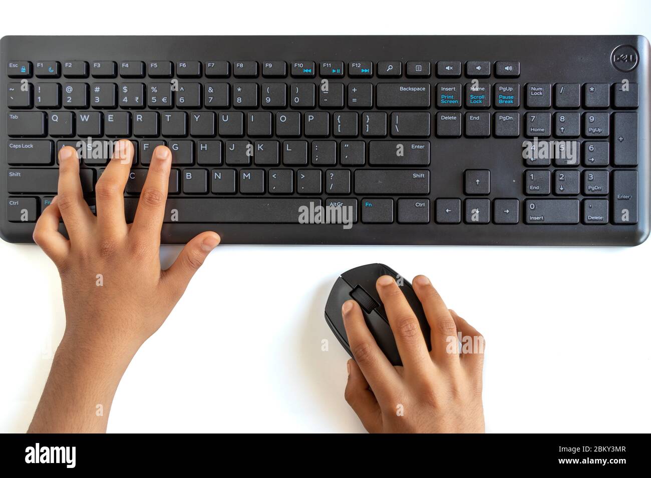 Human mouse hi-res stock photography and images - Alamy