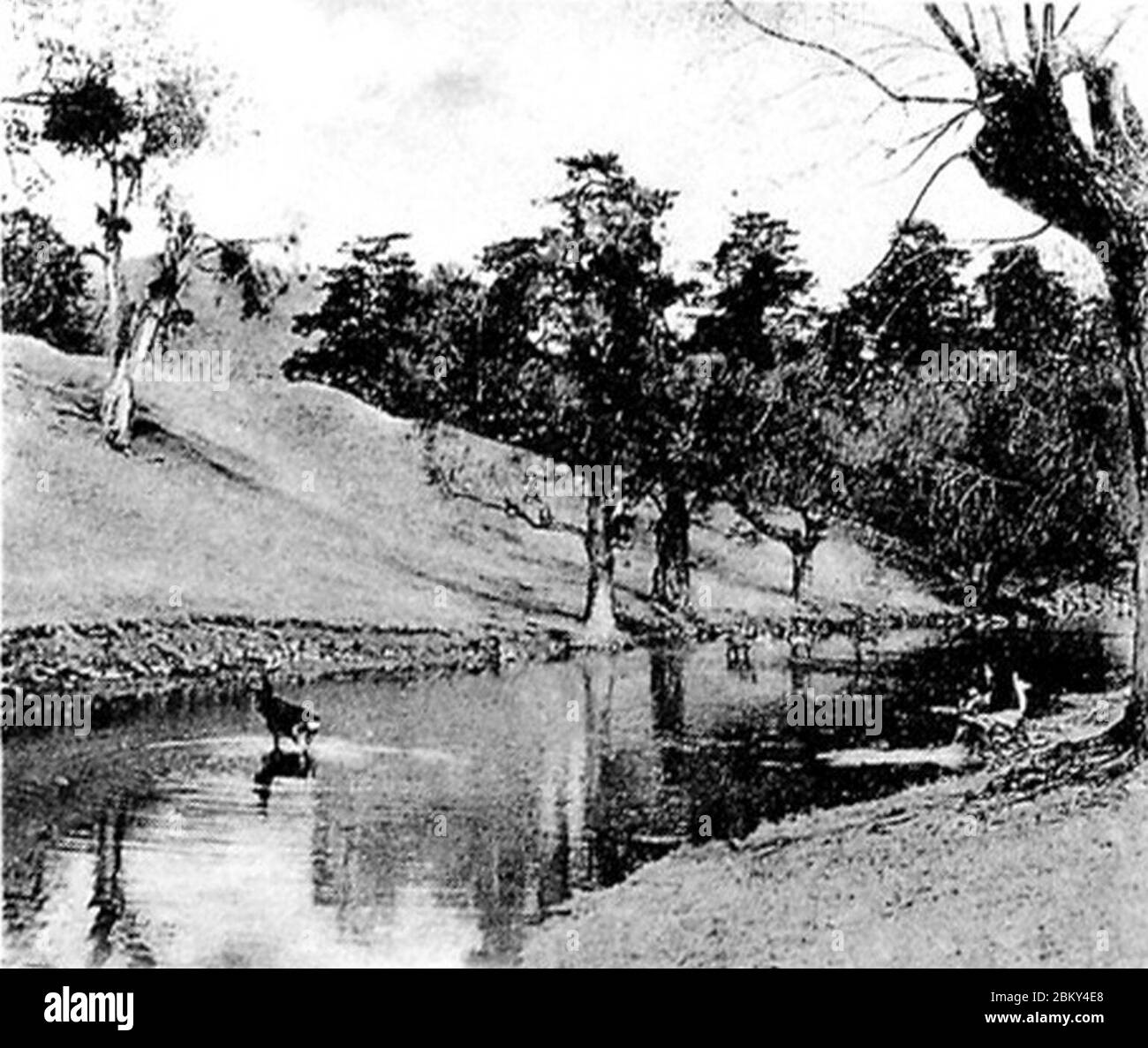 Jehol hi-res stock photography and images - Alamy