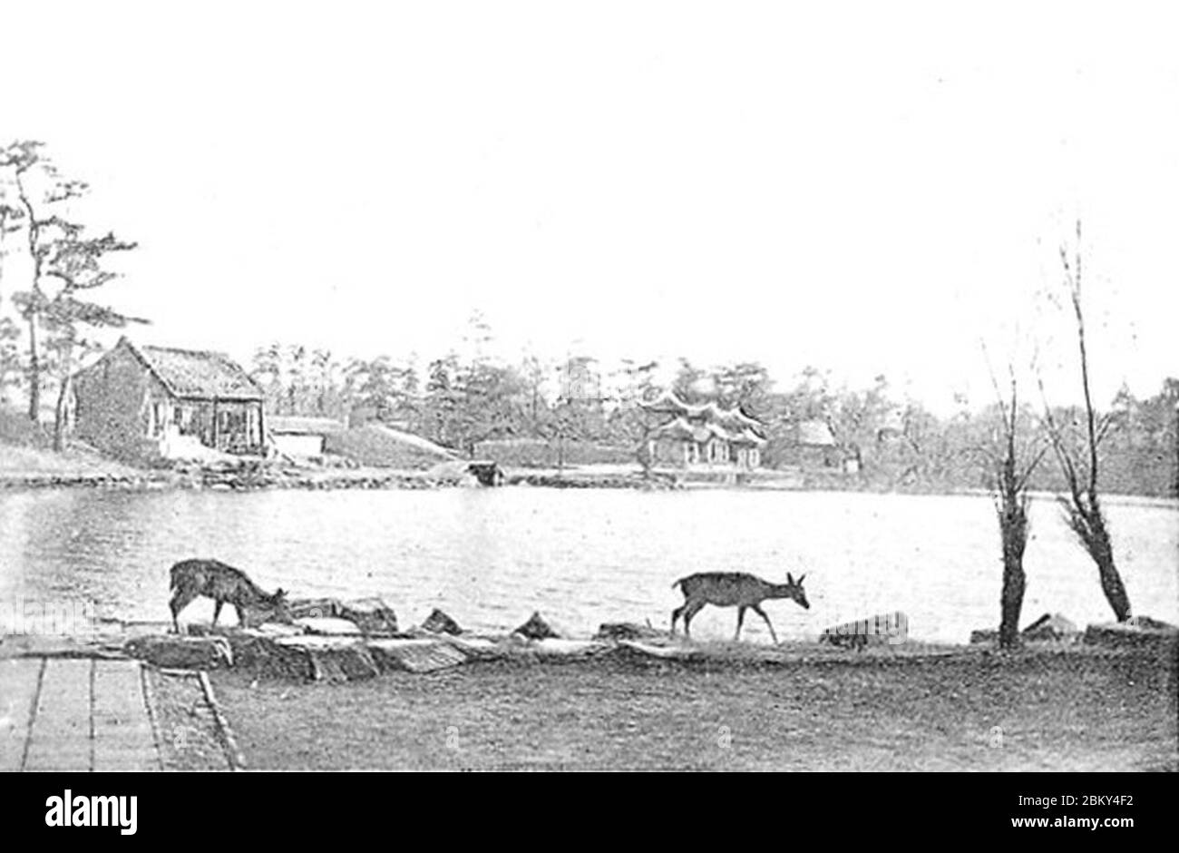 Im Schlosspark von Jehol E285A3 2 Stock Photo - Alamy