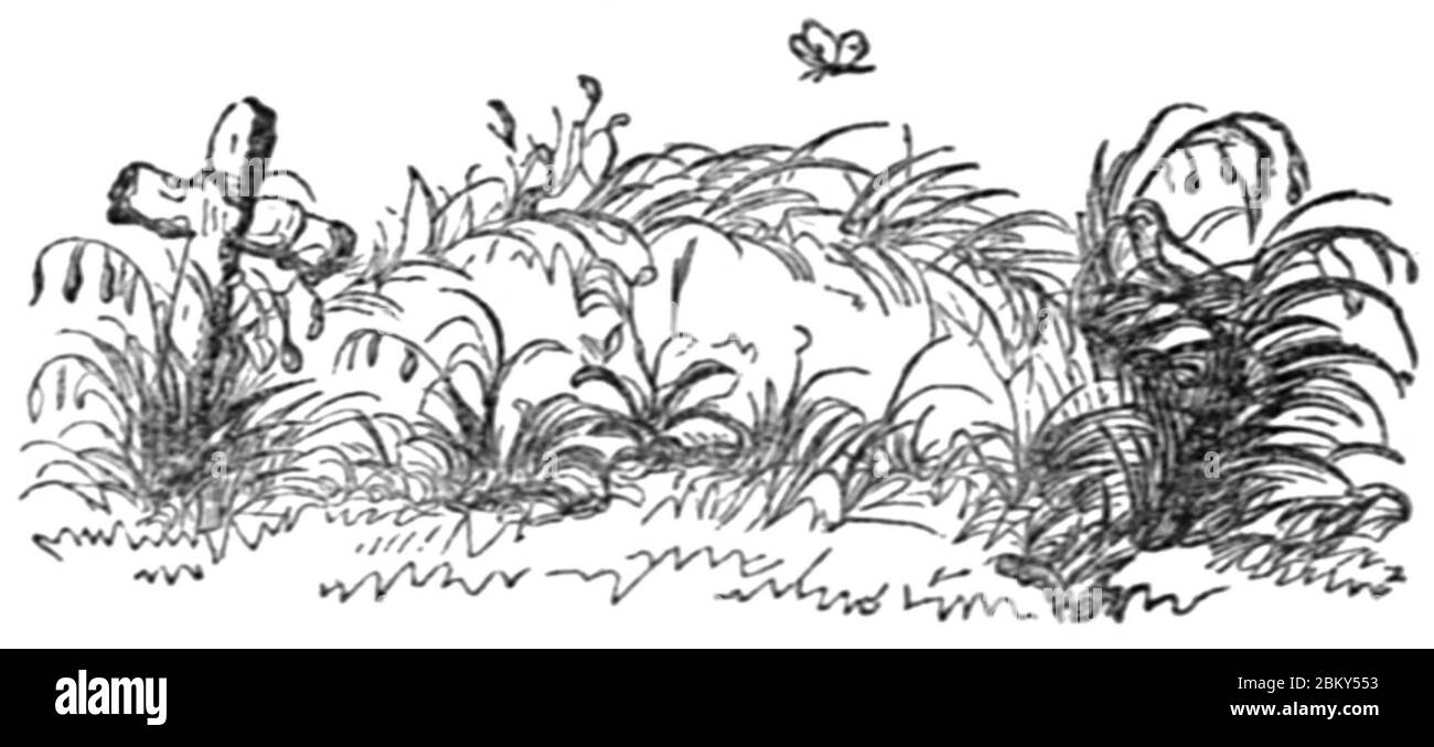 Classical garden engraving hi-res stock photography and images - Alamy