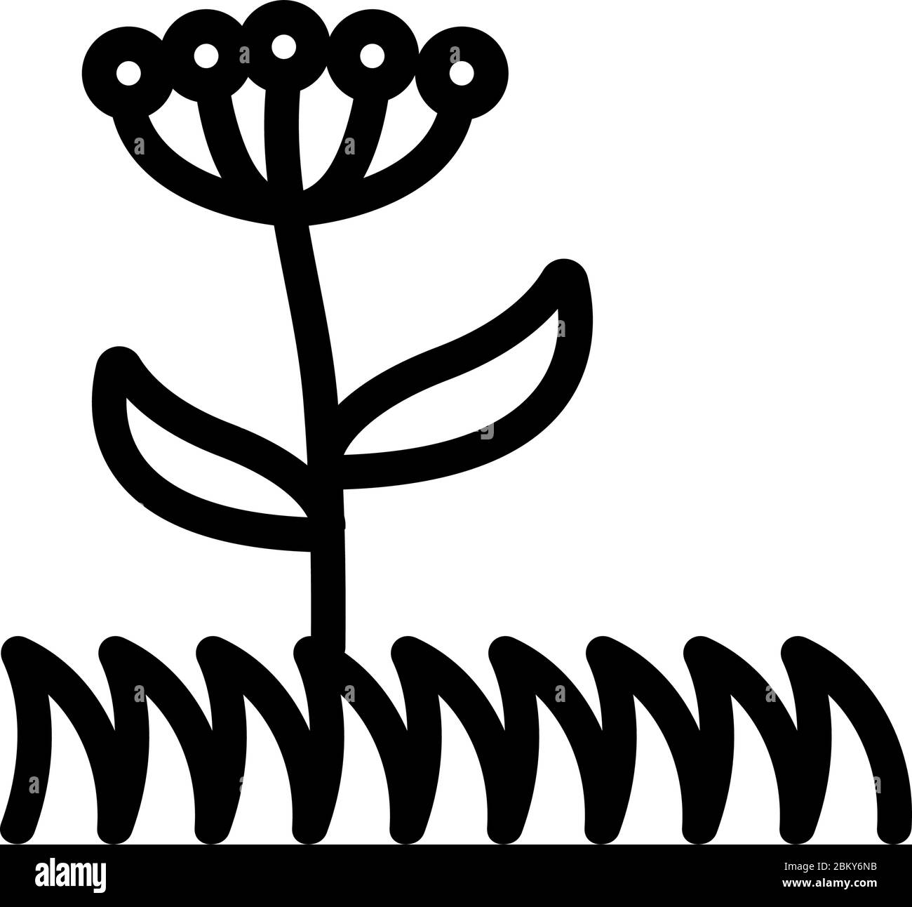 ecological fresh dill icon vector outline illustration Stock Vector ...