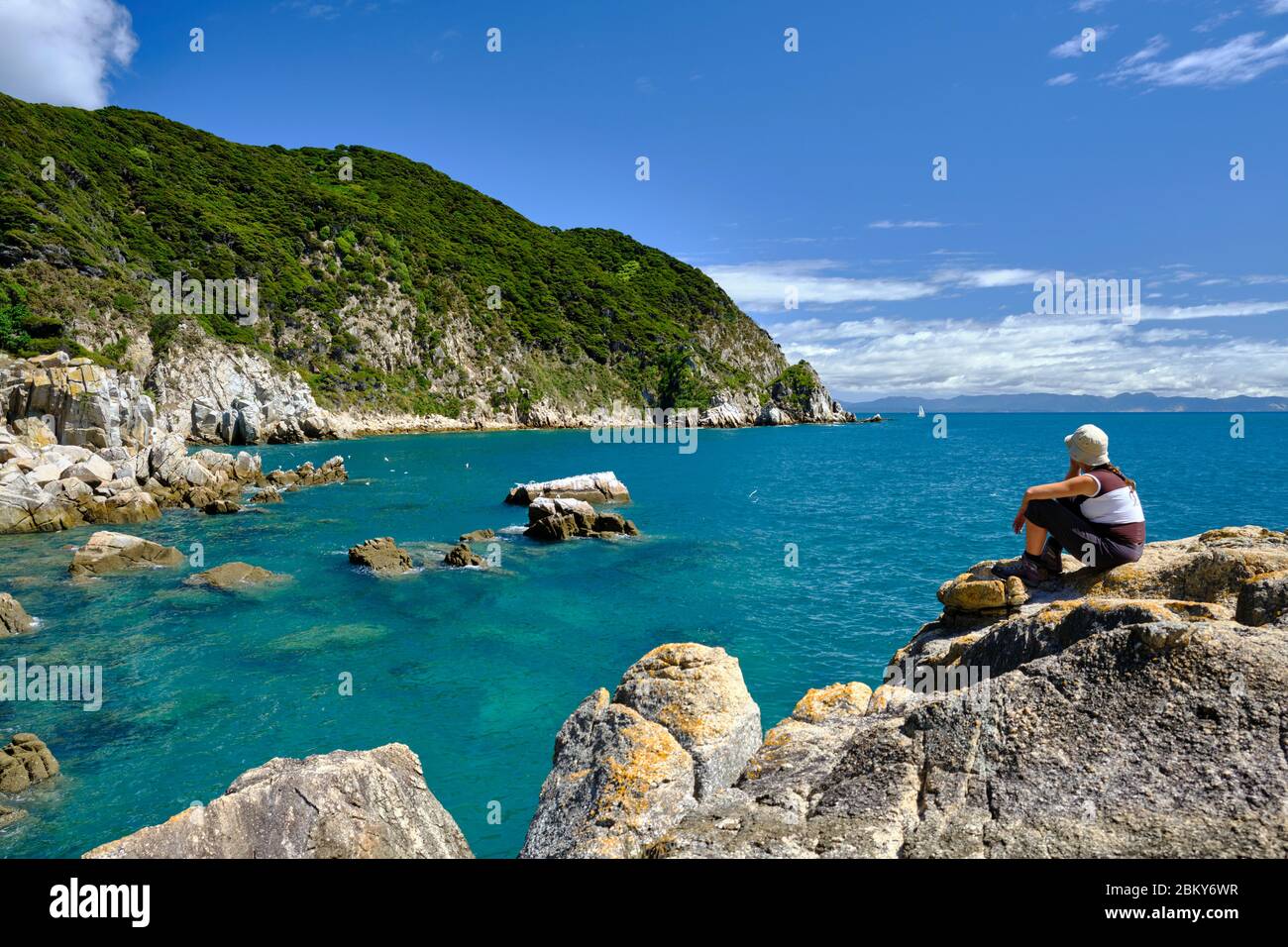 Separation Point, Abel Tasman National Park, South Island, New Zealand ...