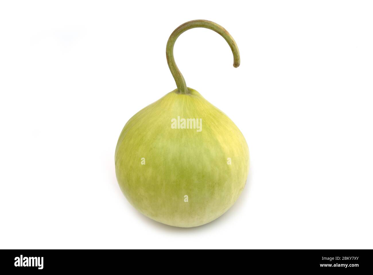 Ghiya Cut Out Stock Images & Pictures - Alamy