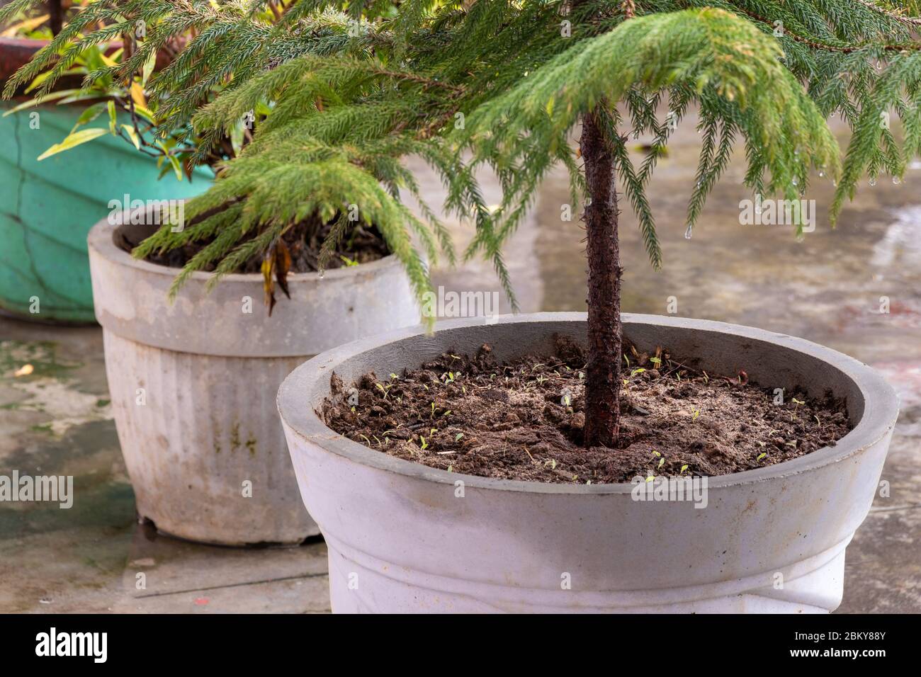 Row of clay pots hi-res stock photography and images - Alamy