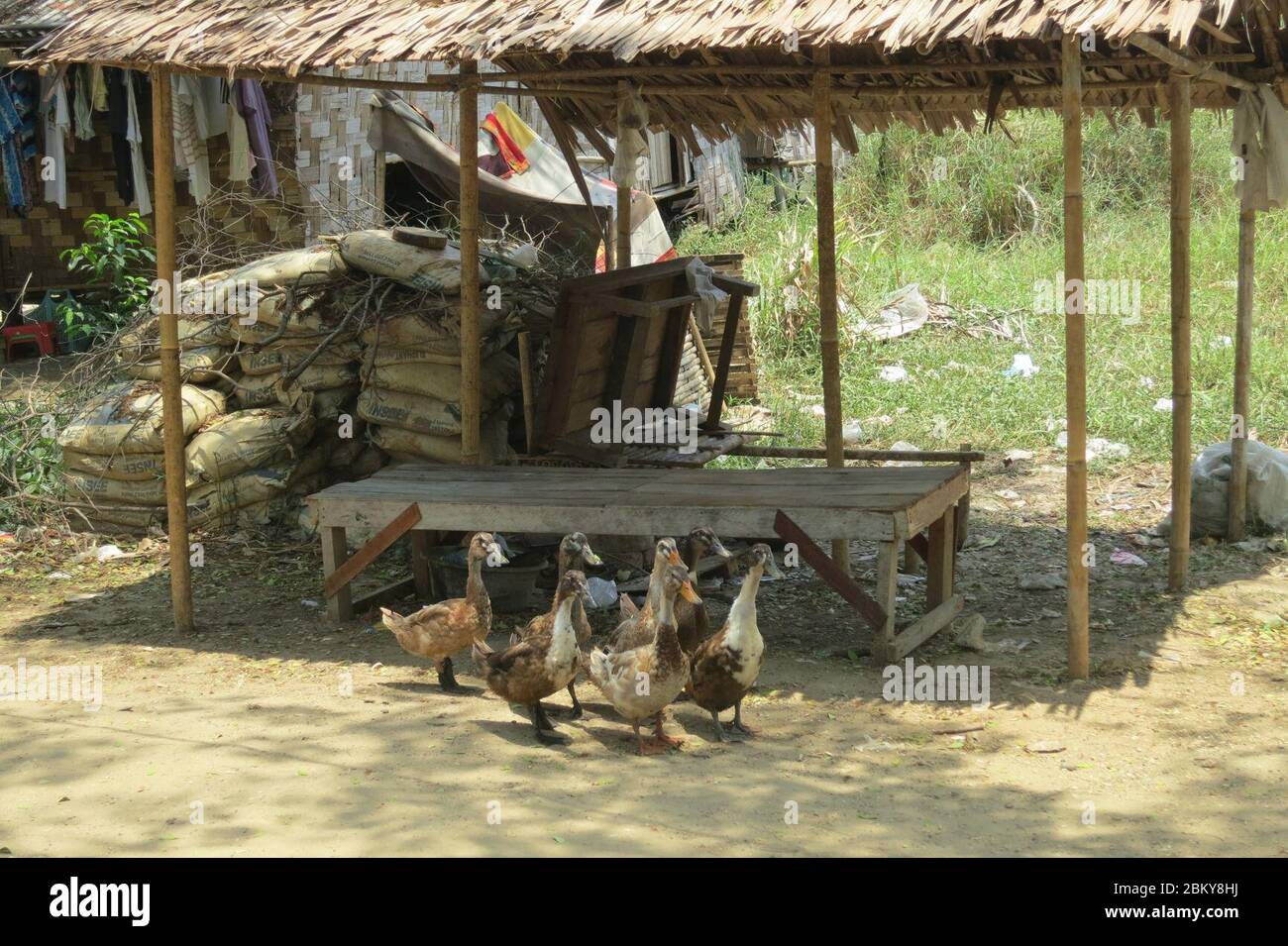 USAID at work Stock Photo - Alamy