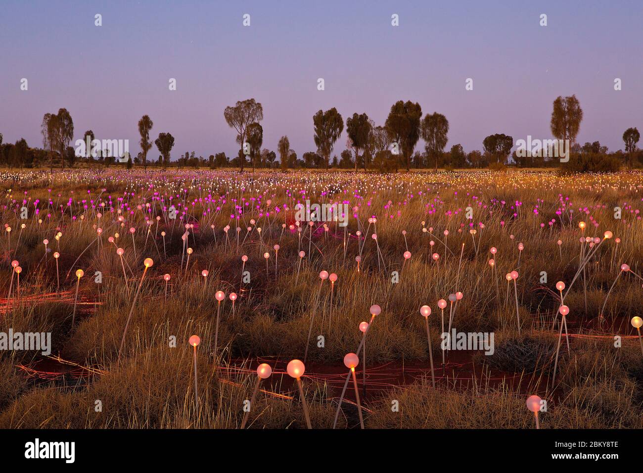Field of light uluru australia hi-res stock photography and images - Alamy