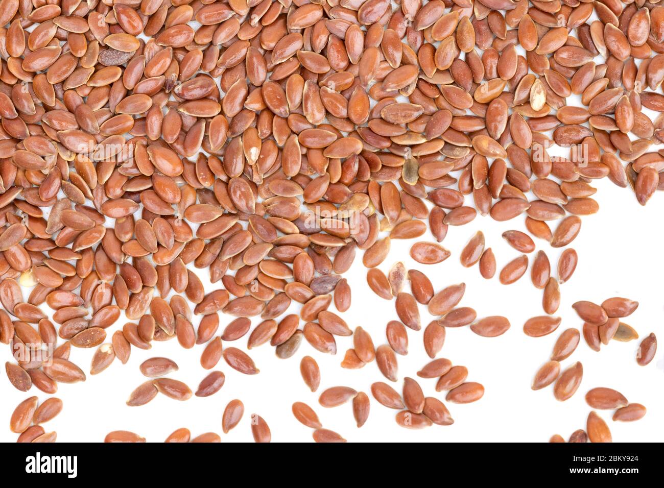 Group of linseeds or flax seeds spread out on surface, isolated on white background Stock Photo ...