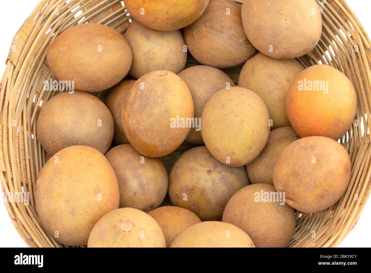 Chikoo or sapodilla fruit isolated on white background Stock Photo - Alamy