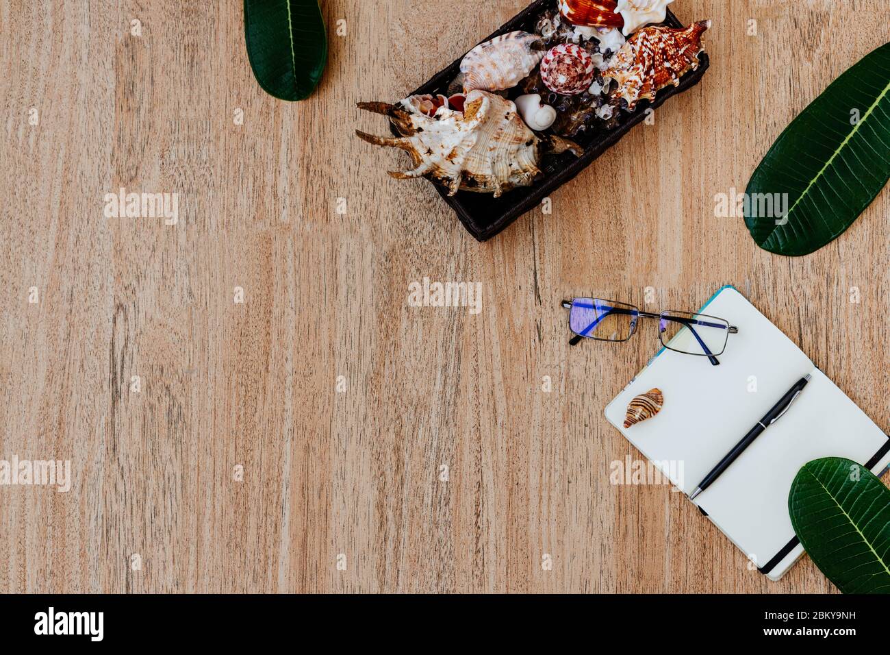 Flat lay, top view of an open white notebook with pen for writing cases ...