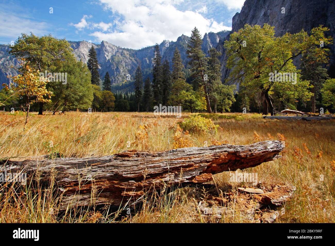 Fall Color in Yosemite National Park Stock Photo - Alamy