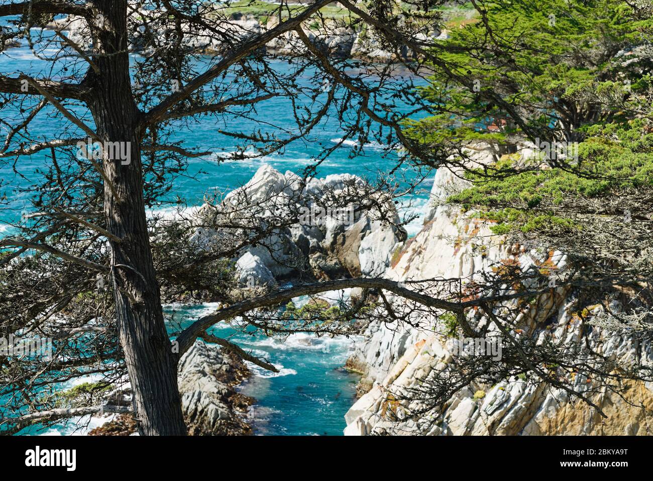 Pacific ocean, Rocky cliffs and native redwood forest. Big Sur ...