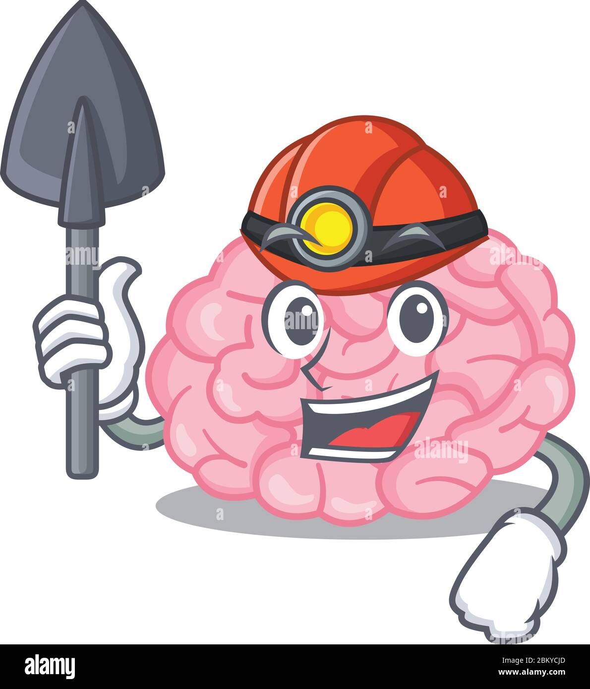 Human brain regions and anatomy Stock Vector Images - Alamy