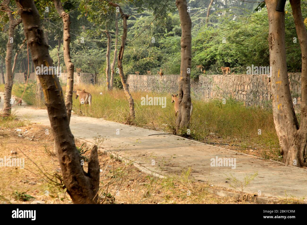 Beautiful Landscape, Village Surrounded by Greenery Mountain, Indian ...
