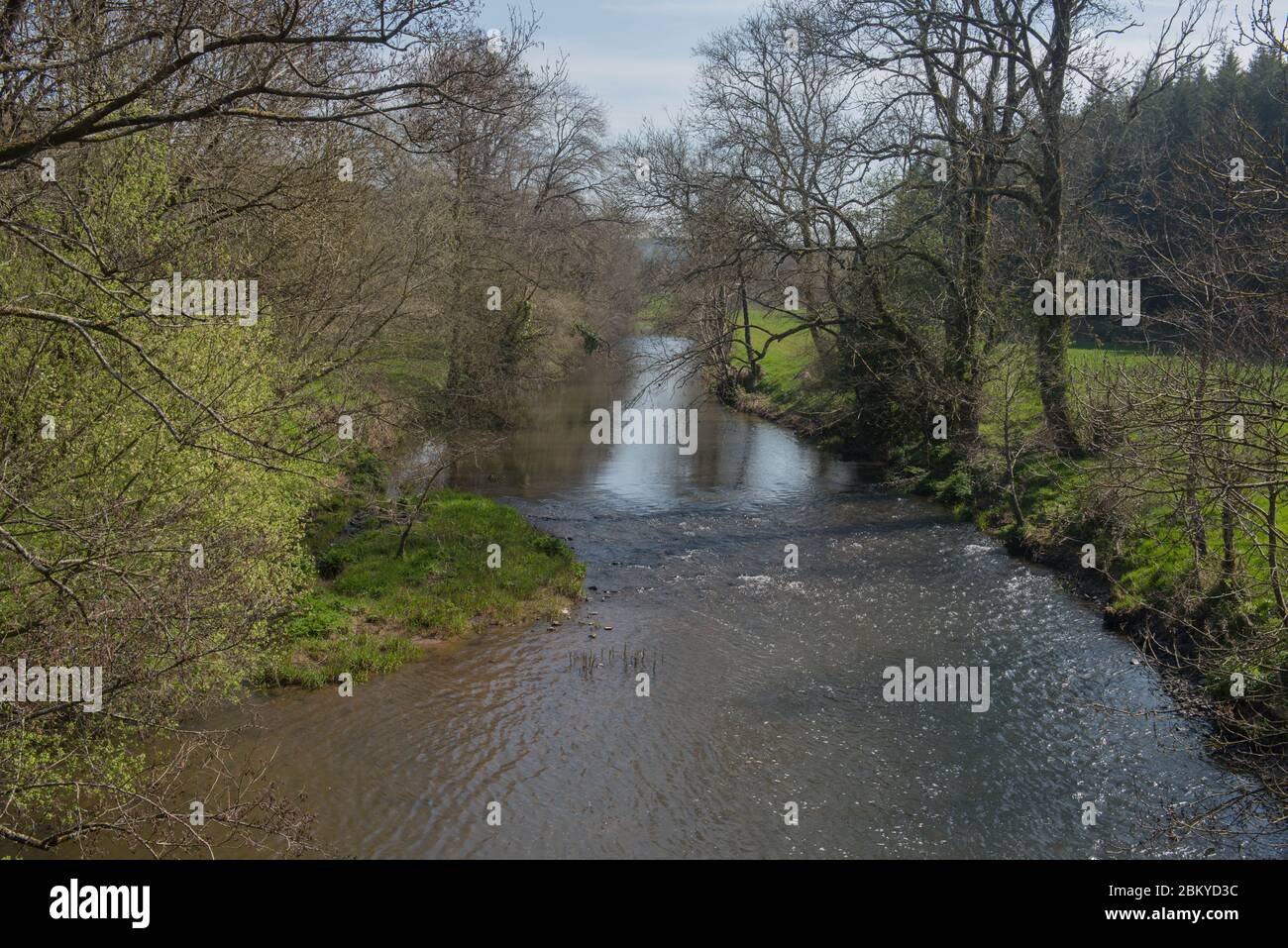 Spring Landscape on the River Taw at the Hamlet of Chenson in Rural ...