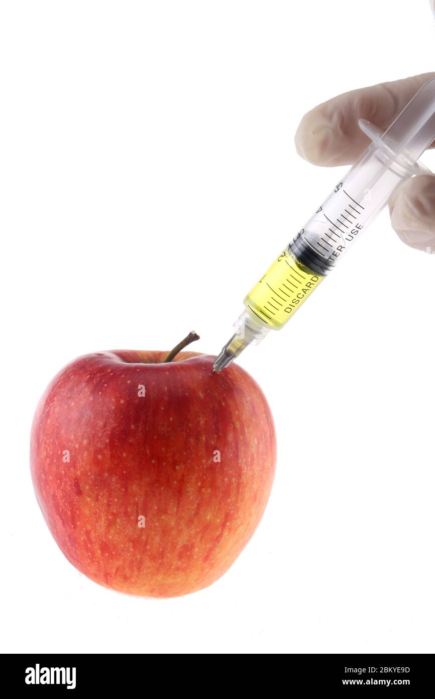 Injection into an apple. A hand in a medical glove with a syringe on a White background. Genetic ...