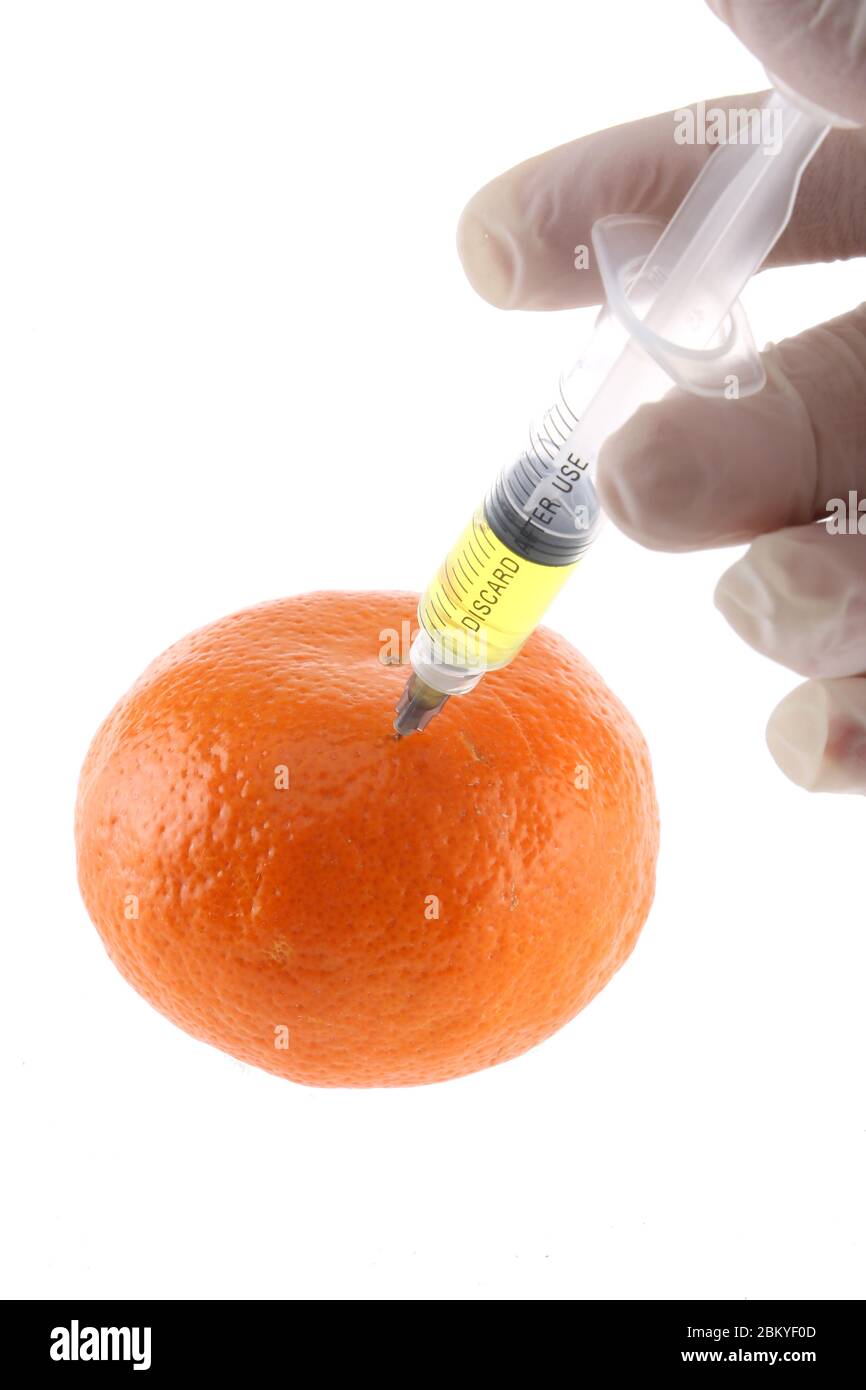 Fresh orange with a syringe. Concept for genetically modified foods ...
