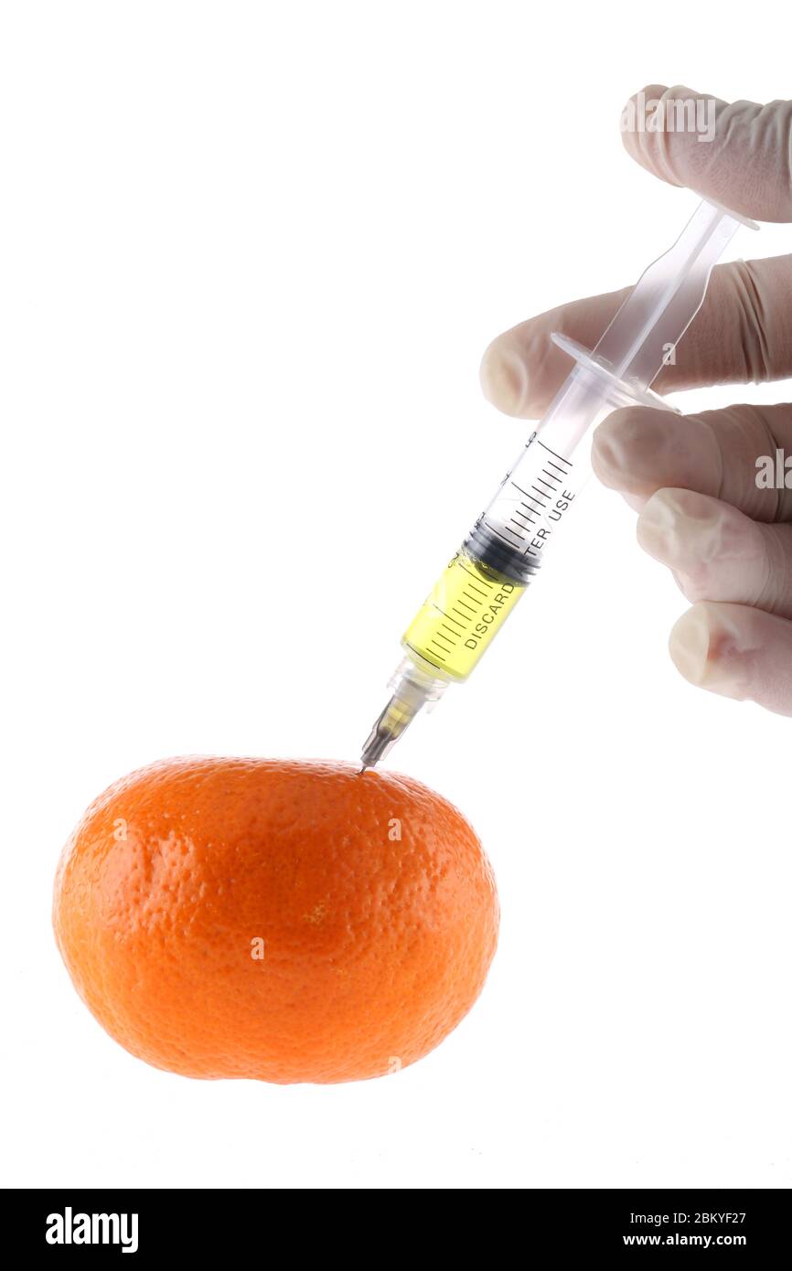 Fresh orange with a syringe. Concept for genetically modified foods ...