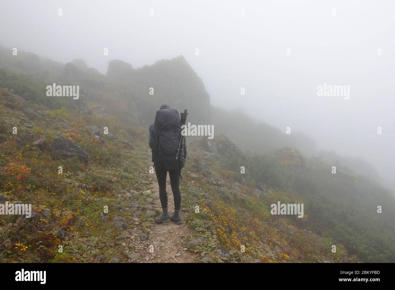 Mysterious man mist hi-res stock photography and images - Alamy