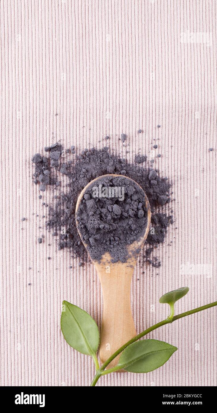 matcha blue tea powder in wood spoon on pink background with green ...