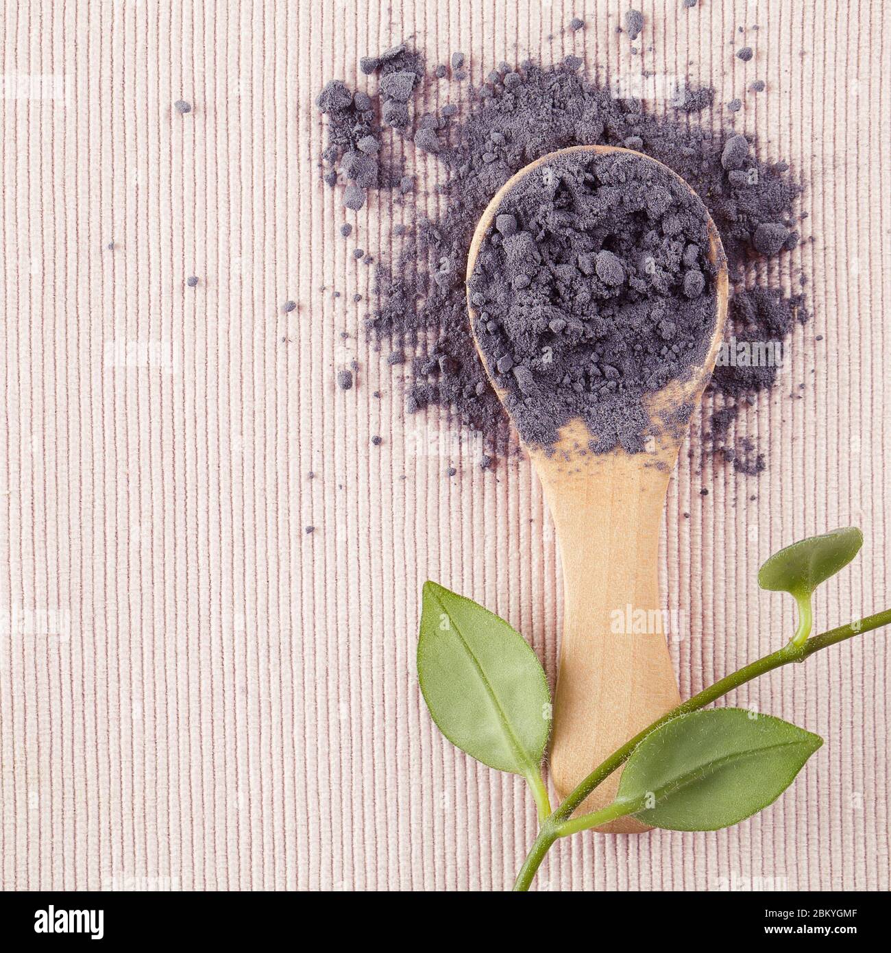 matcha blue tea powder in wood spoon on pink background with green ...