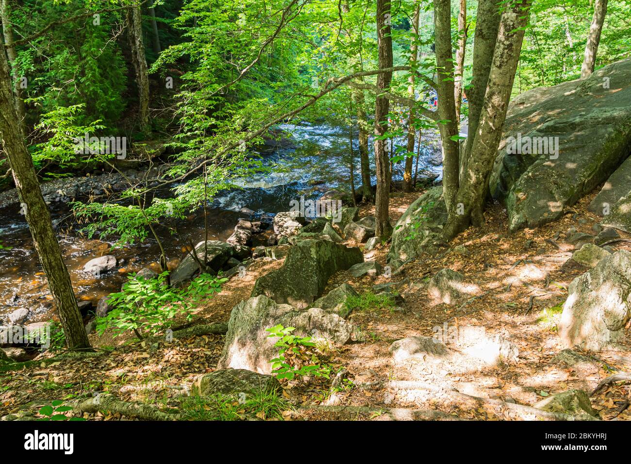 Stubbs conservation area showing falls Stock Photo - Alamy