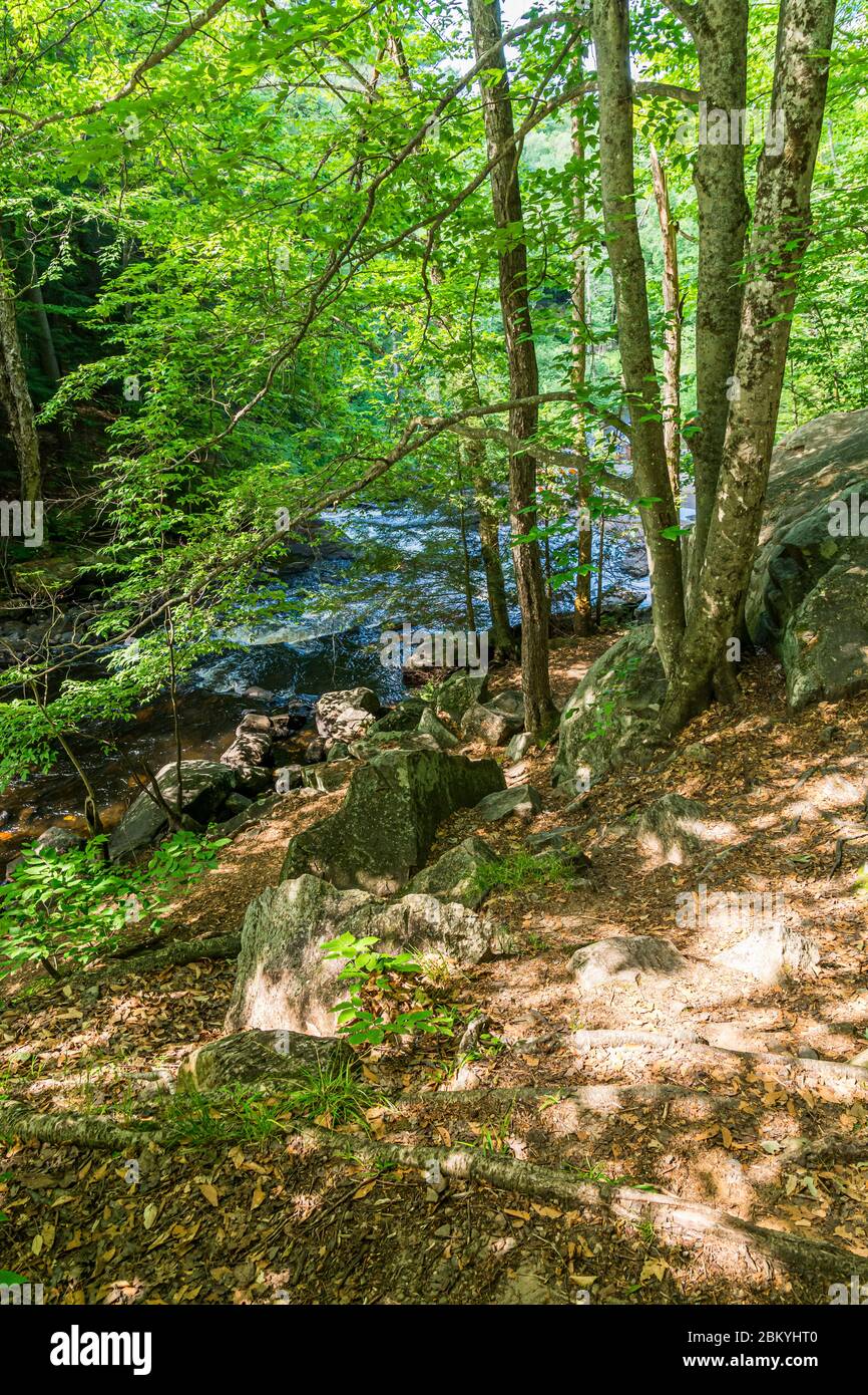 Stubbs falls hi-res stock photography and images - Alamy