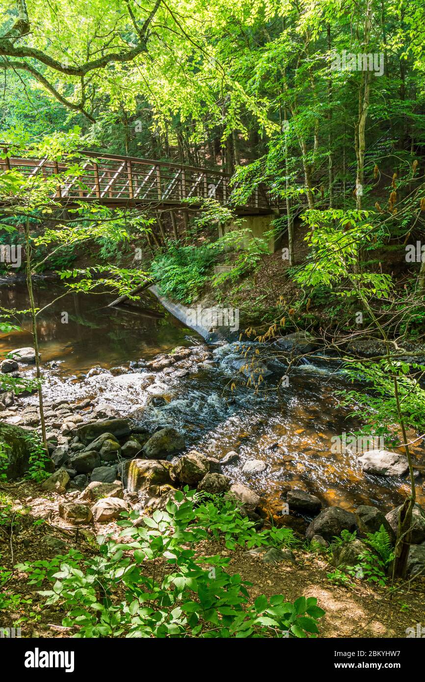 Stubbs falls hi-res stock photography and images - Alamy
