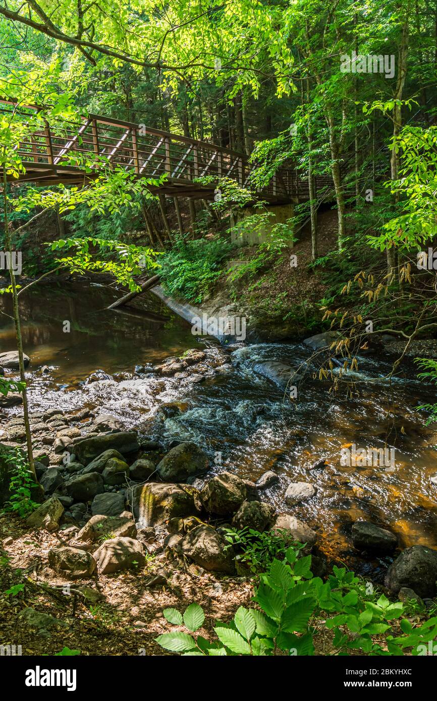 Stubbs conservation area showing falls Stock Photo - Alamy