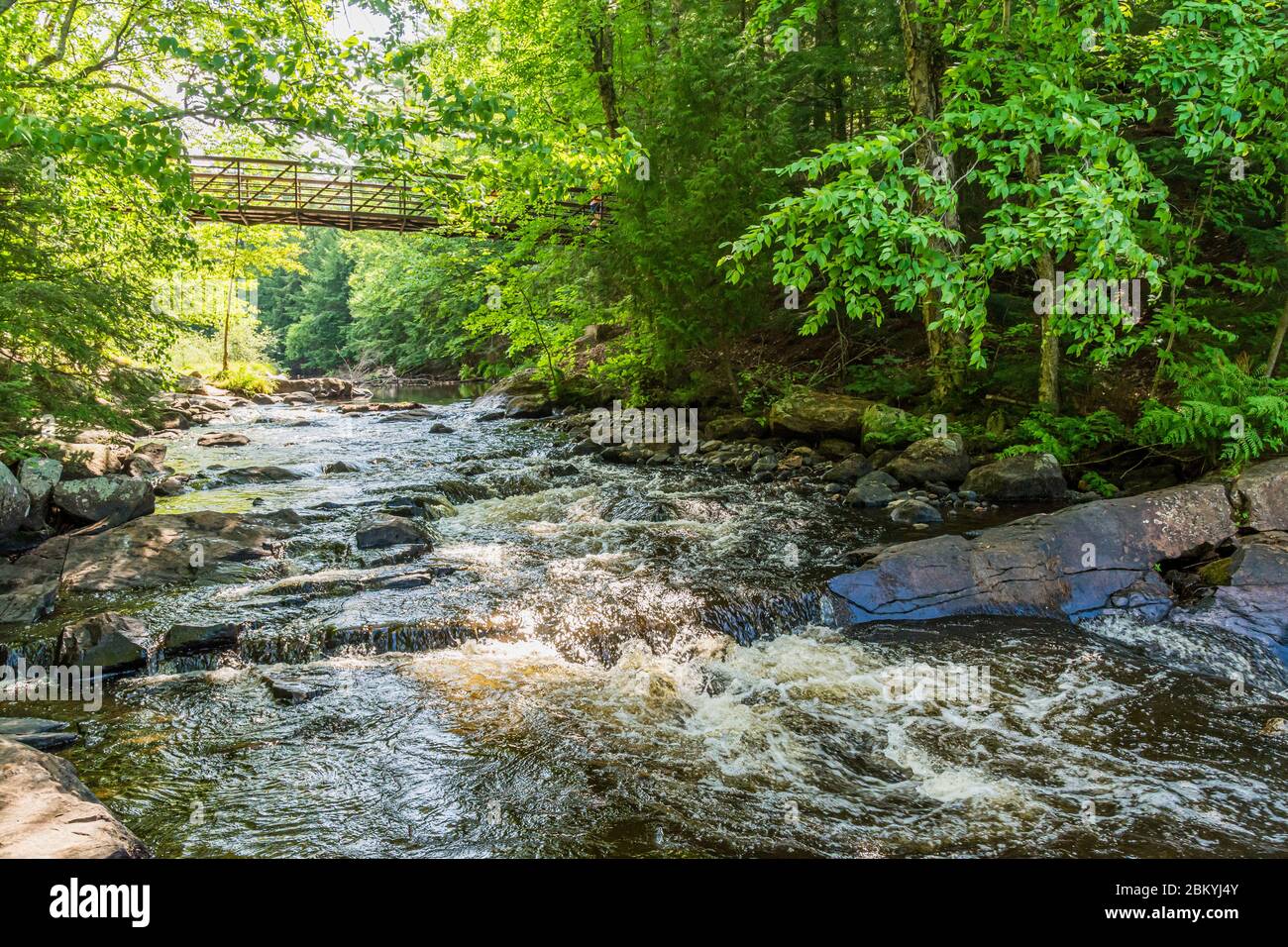 Stubbs conservation area showing falls Stock Photo - Alamy