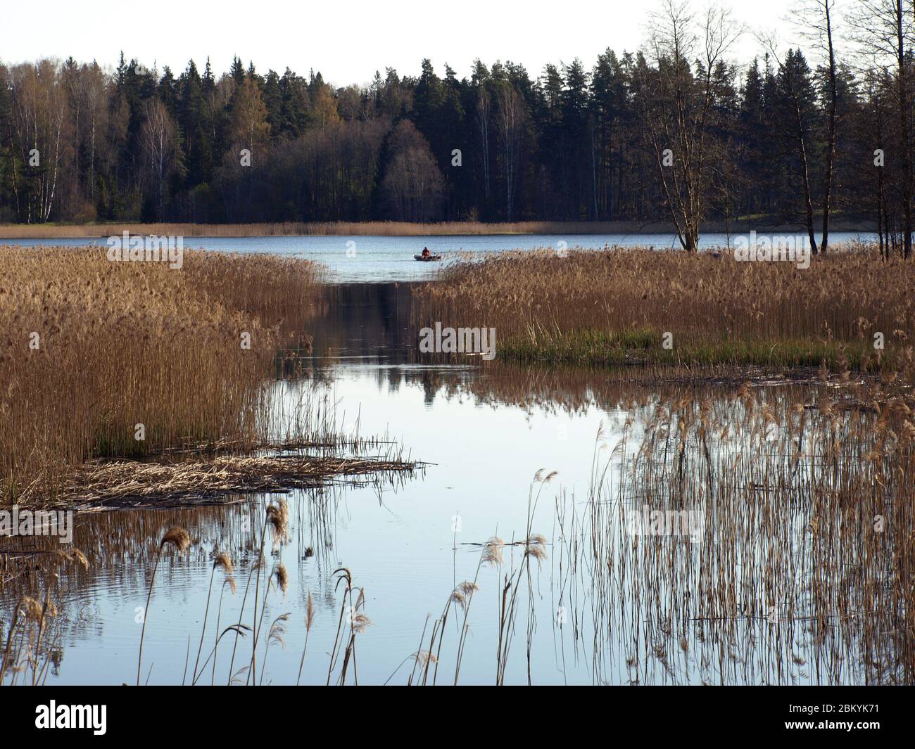 beautiful landscape with the bank of a small wild river, the first ...