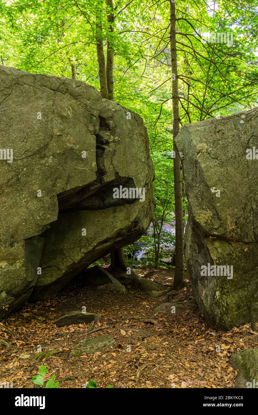 Huge Boulders in forest Stock Photo - Alamy