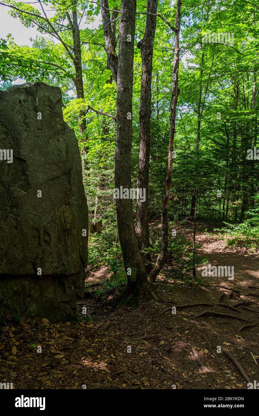 Huge Boulders in forest Stock Photo - Alamy