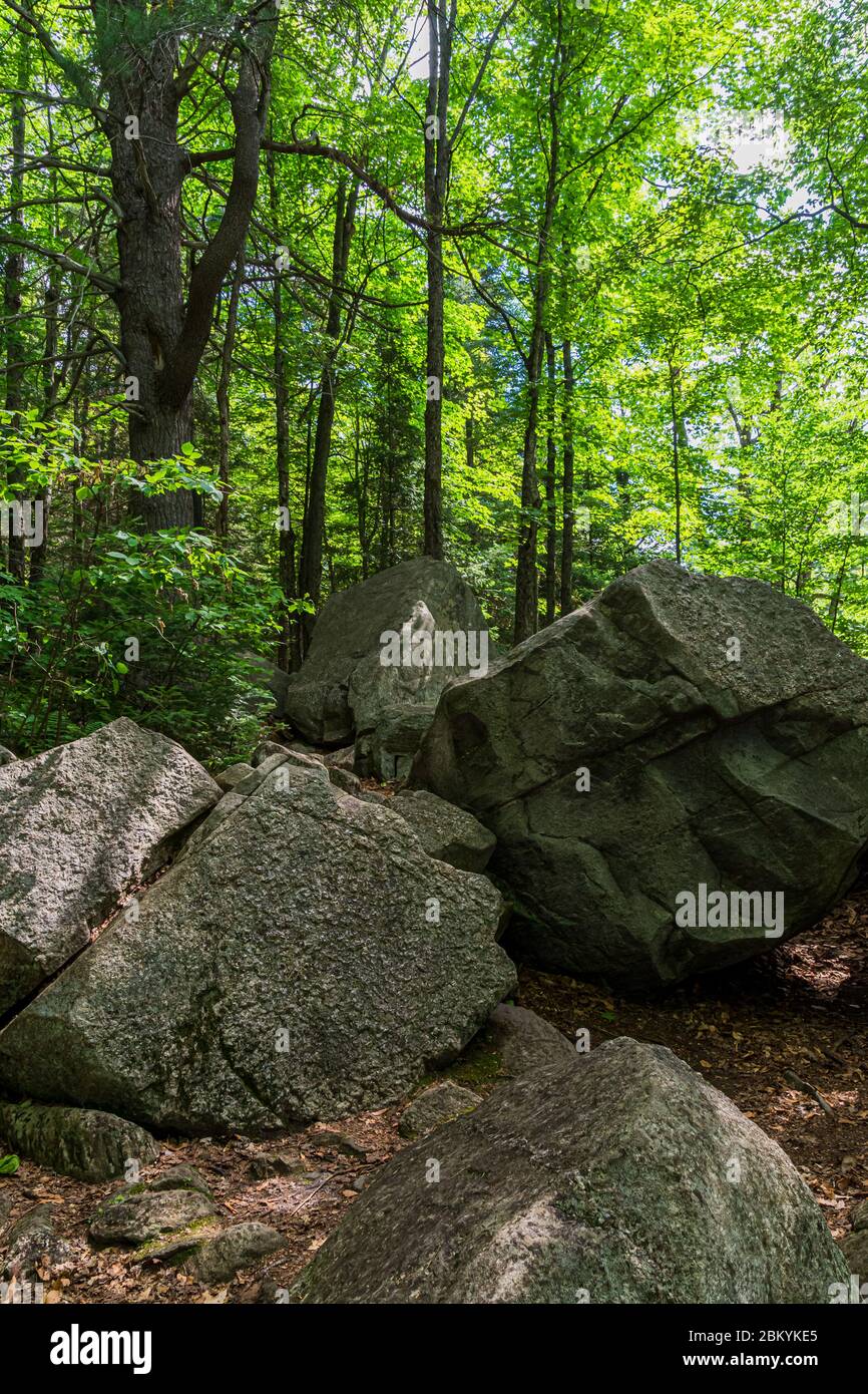 Huge Boulders in forest Stock Photo - Alamy