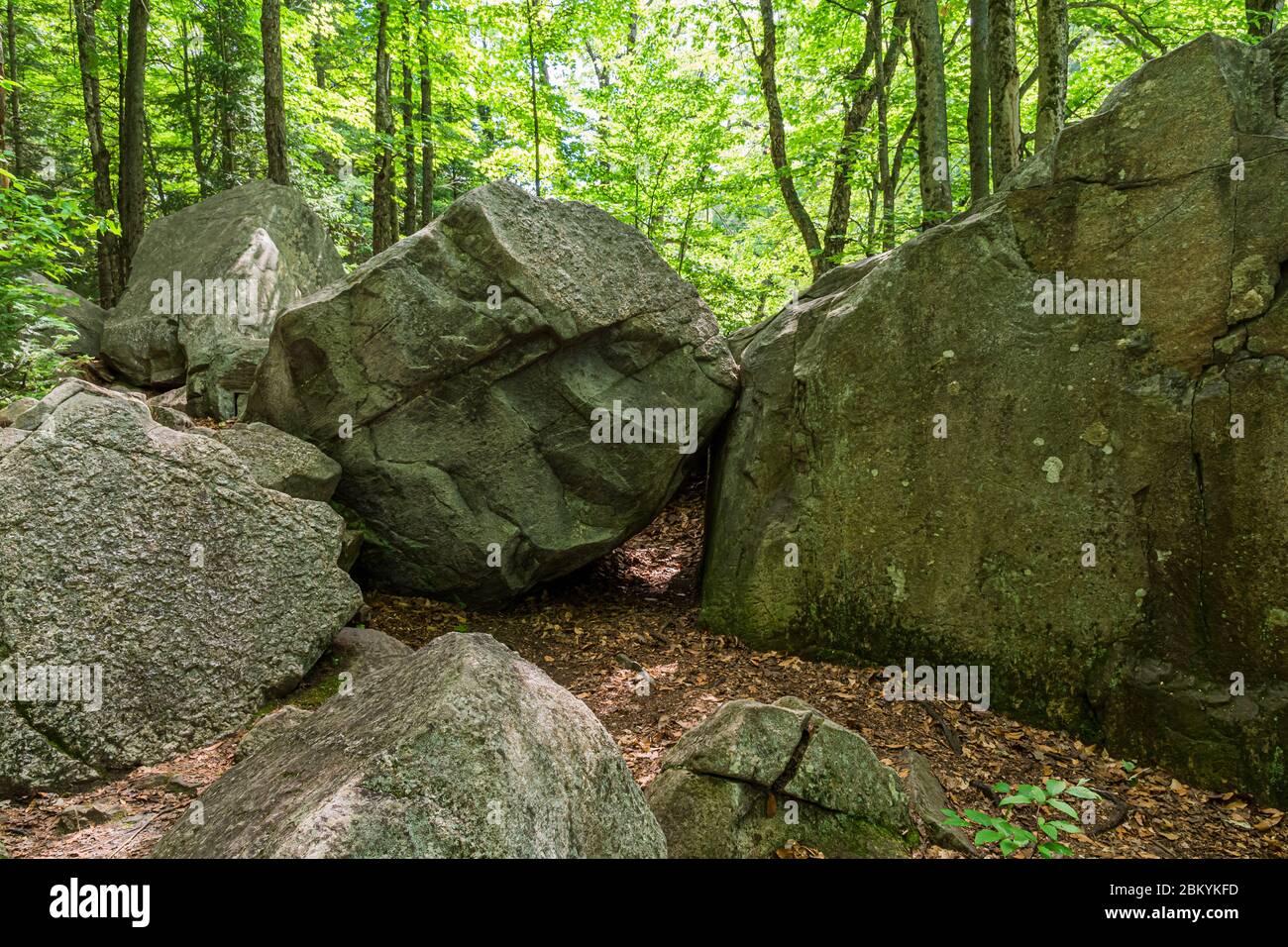 Huge Boulders in forest Stock Photo - Alamy