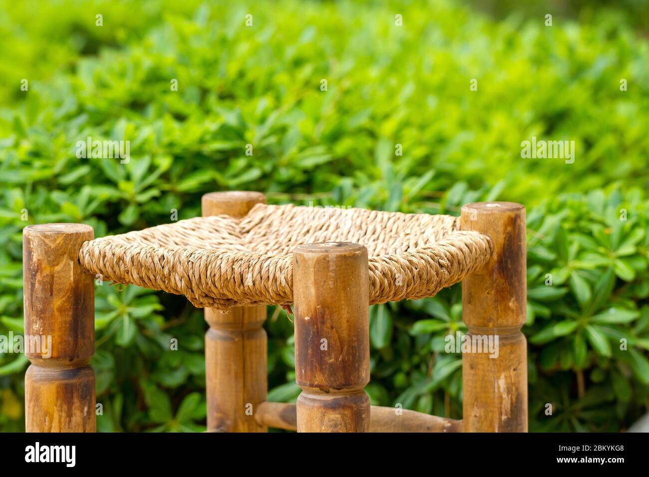 wicker wooden chair on a background of green foliage Stock Photo - Alamy