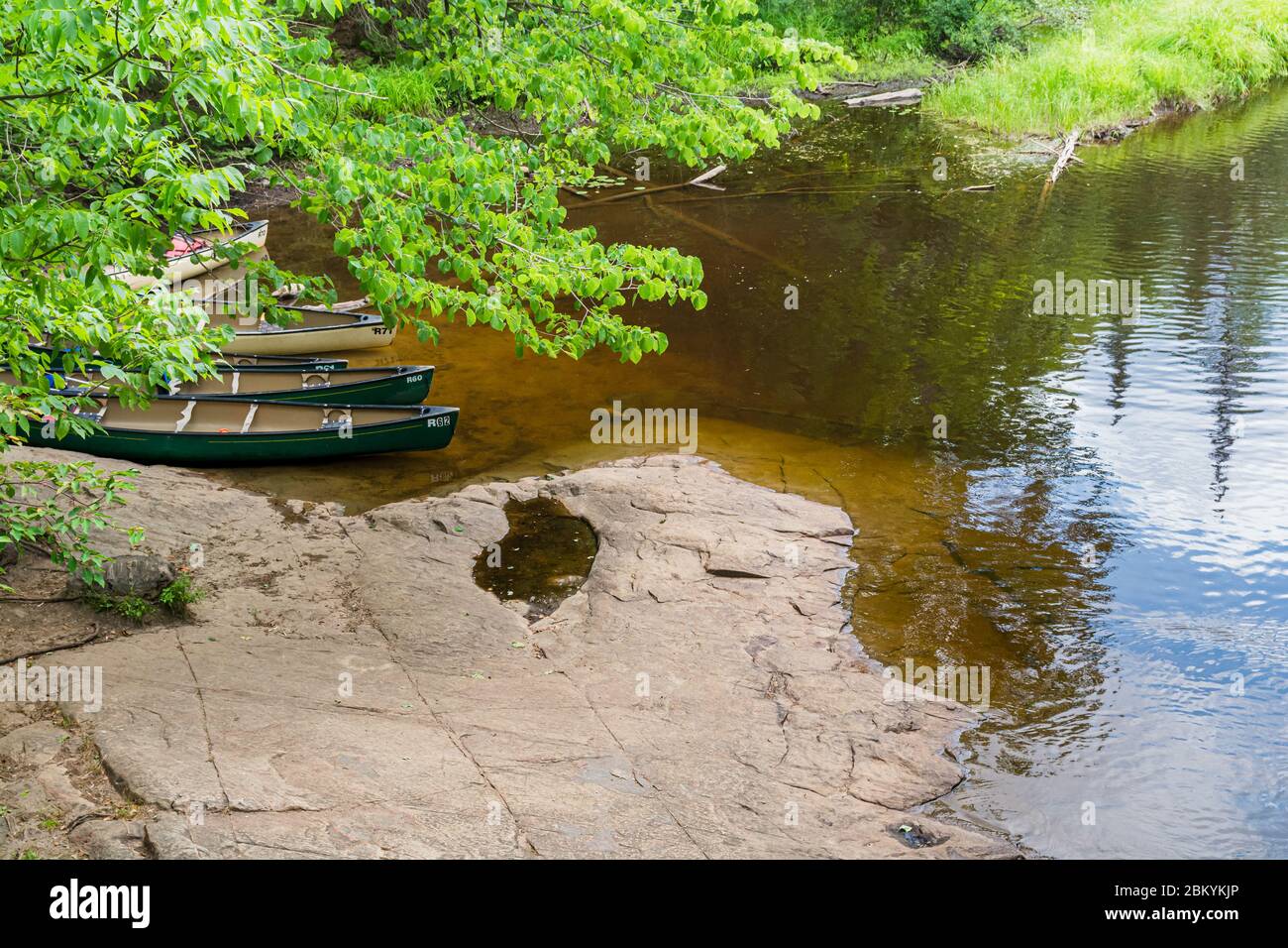 Canoes under tree canopy Stock Photo - Alamy