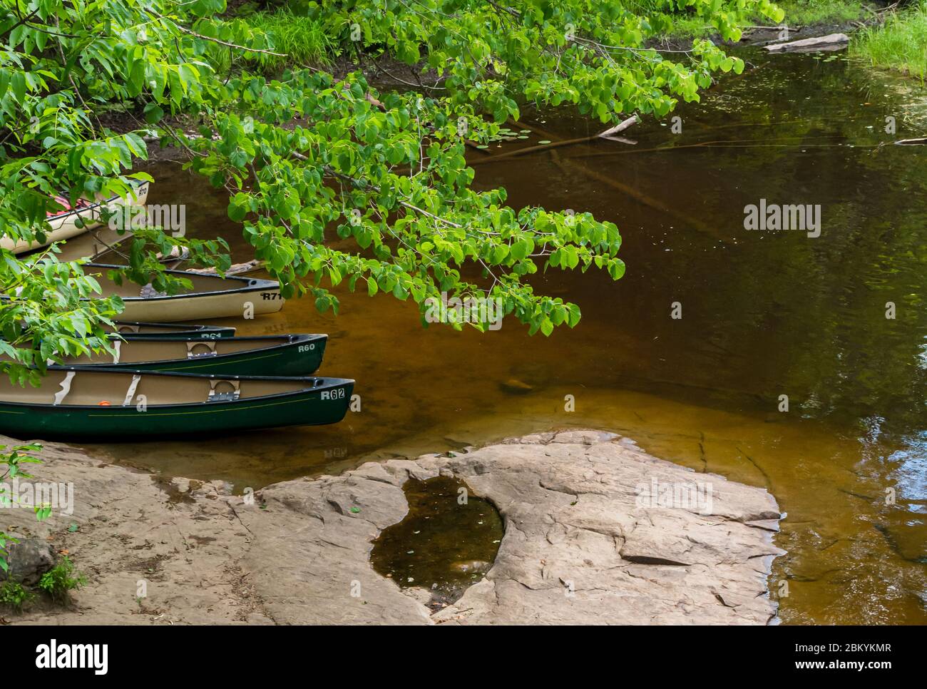 Shade under tree hi-res stock photography and images - Alamy