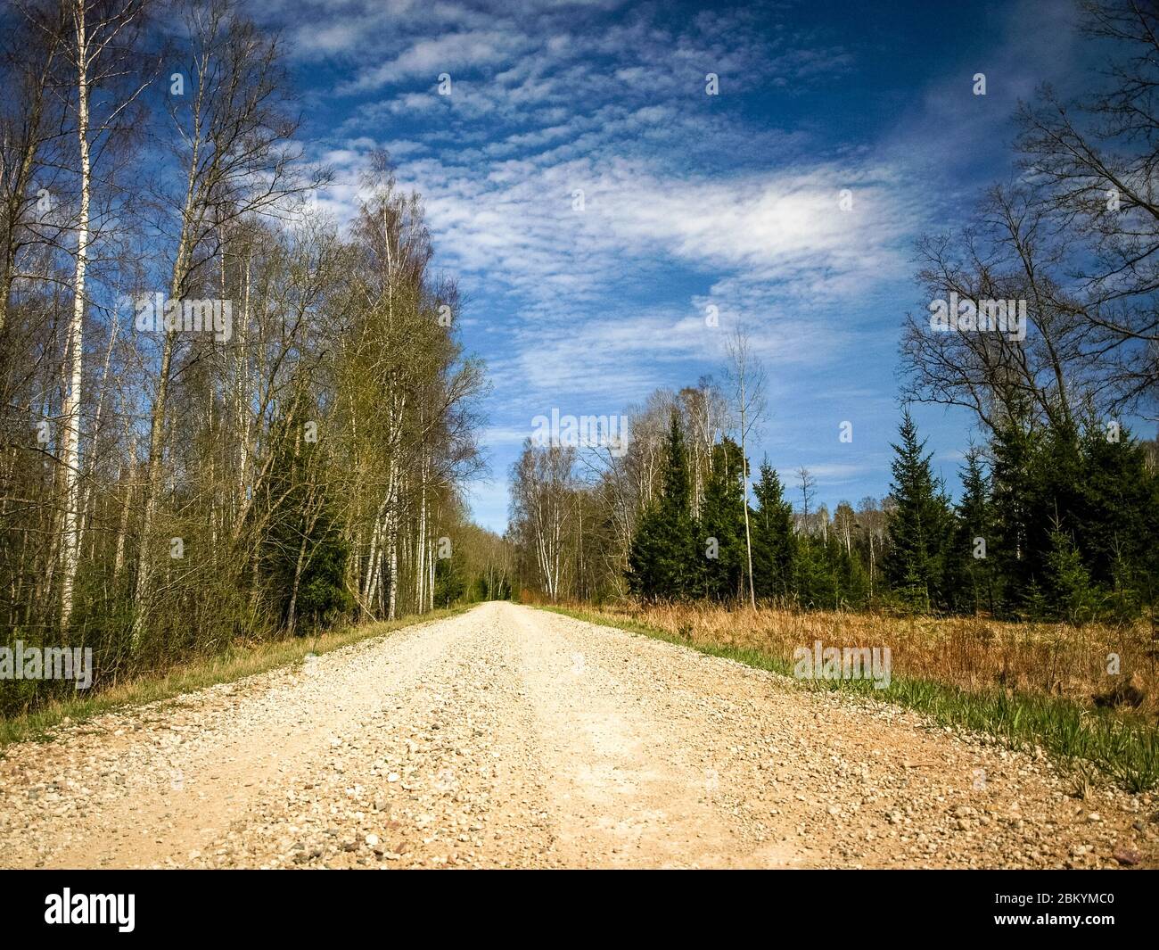 spring landscape with a simple country road, the first bright spring ...