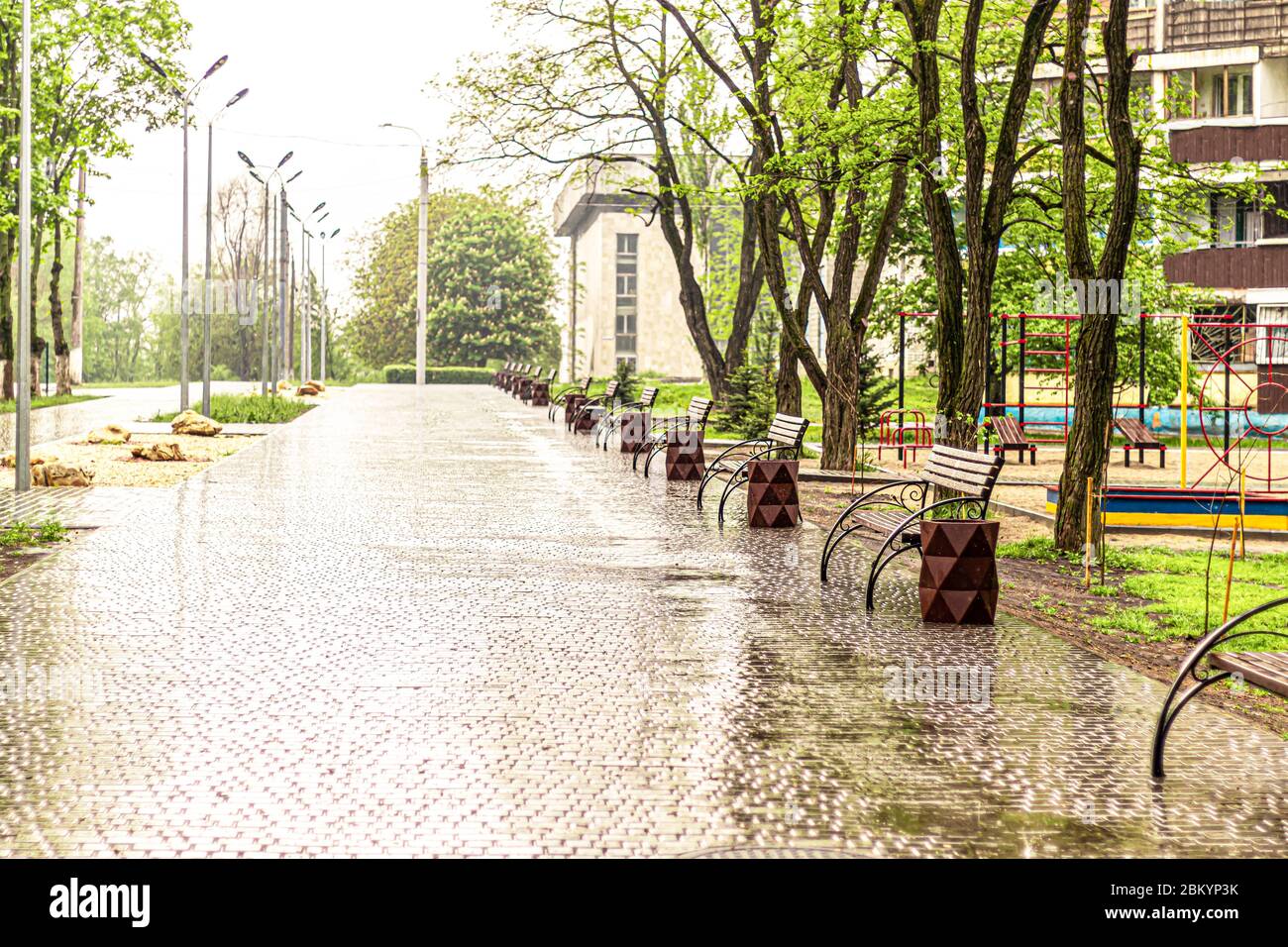 Empty swing at the playground in the rain. Children's swing in the park ...
