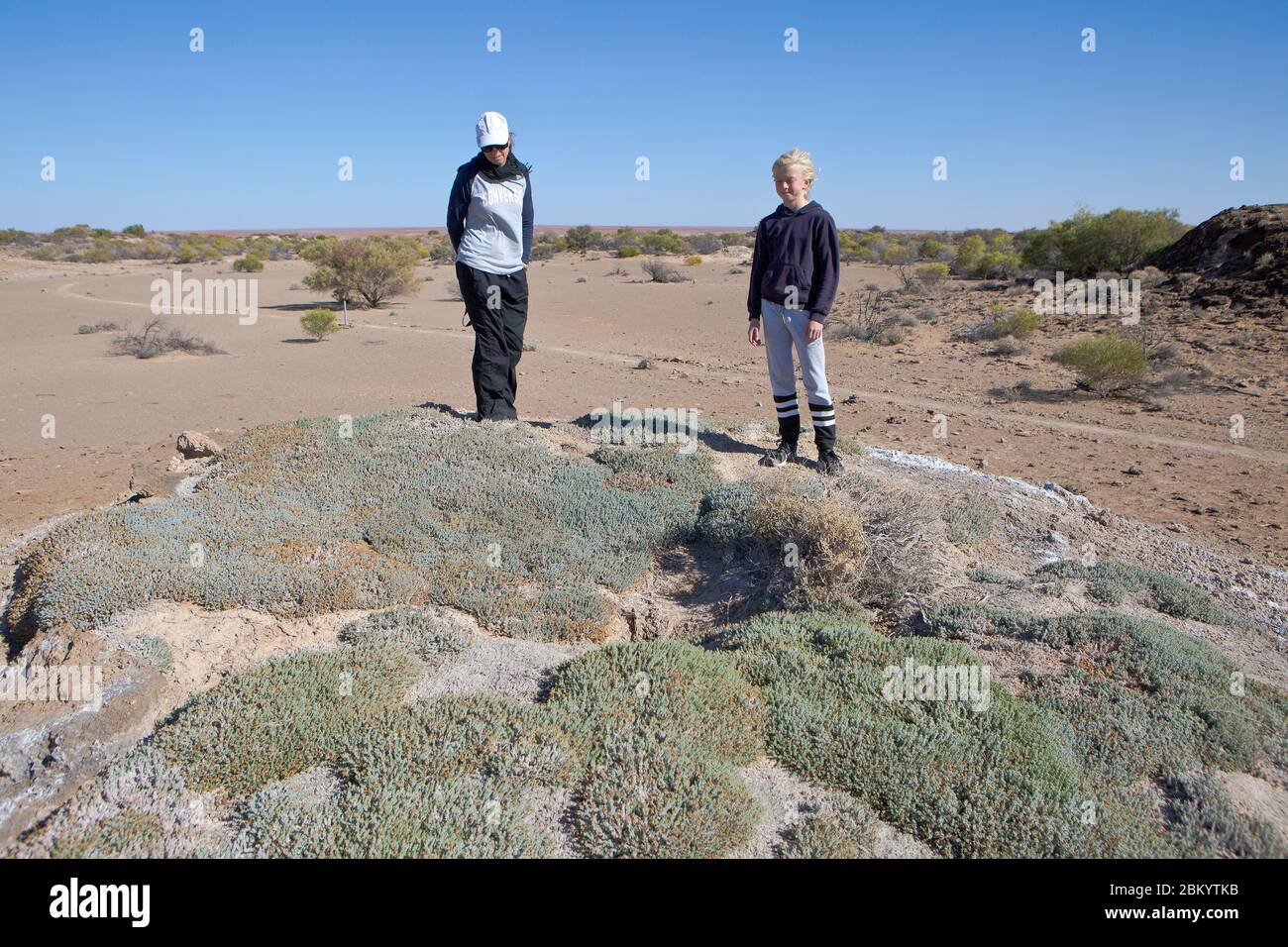 Strangways High Resolution Stock Photography and Images - Alamy