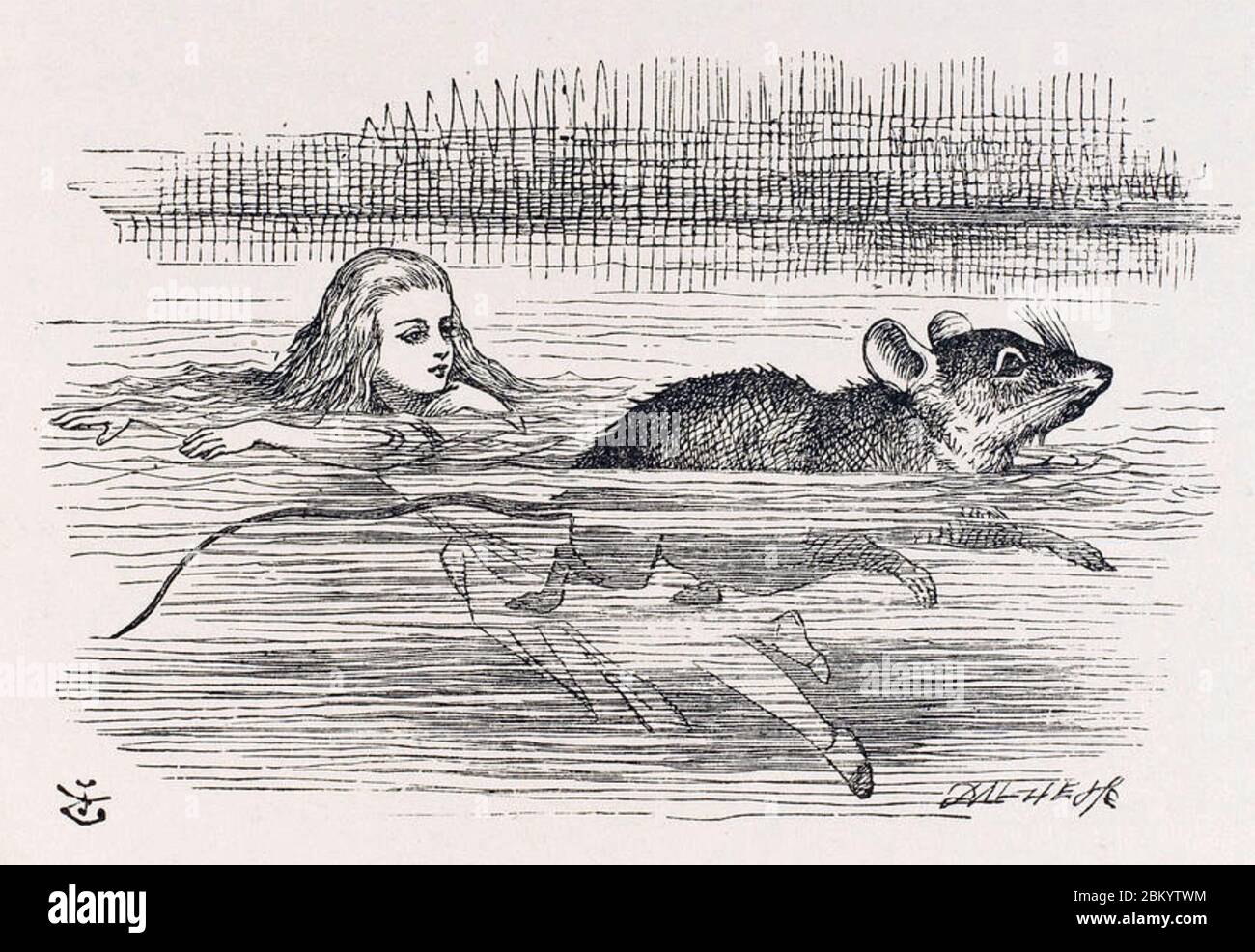 Alice pool tears hi-res stock photography and images - Alamy